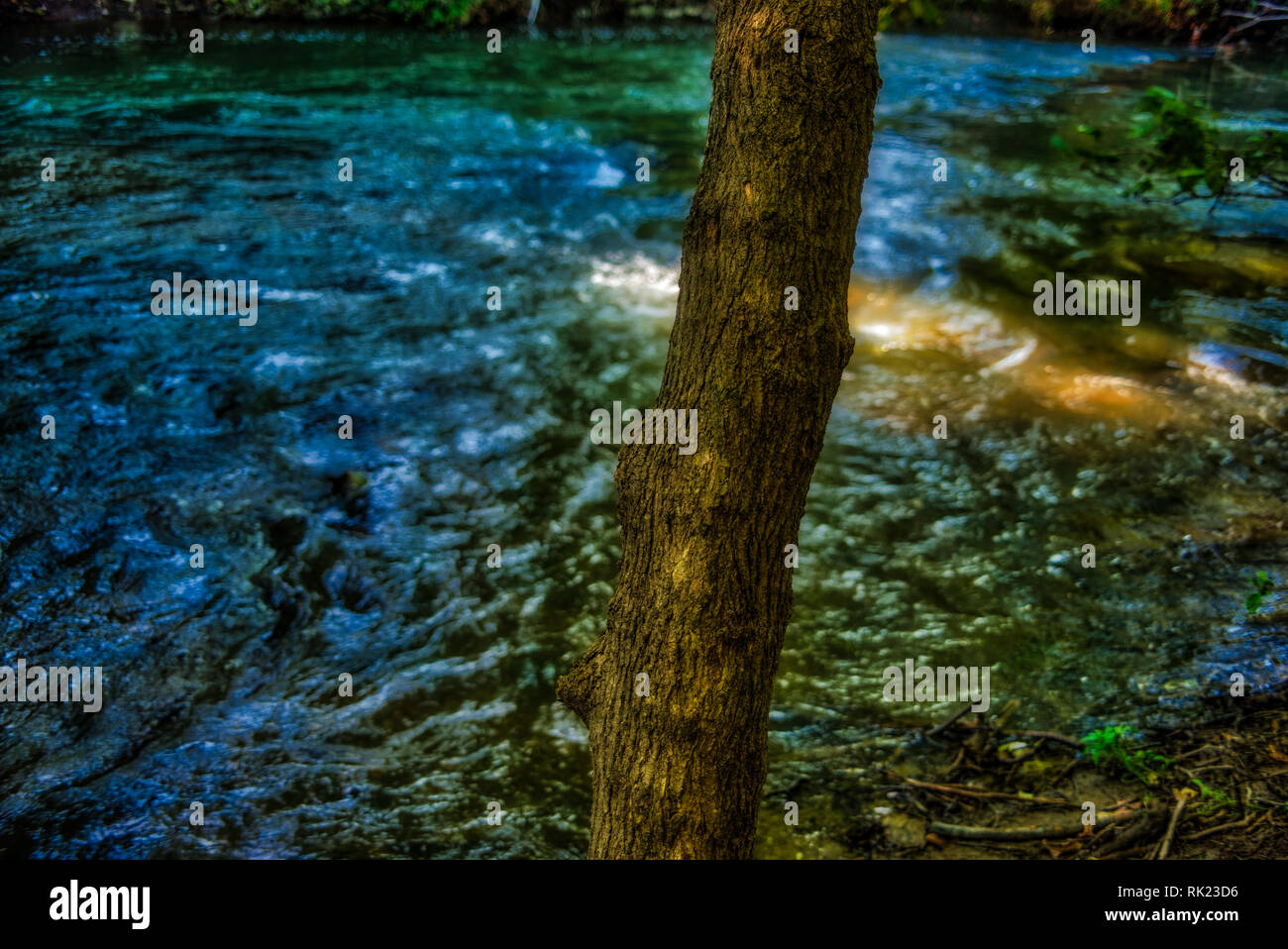Nature stream walkway Stock Photo - Alamy