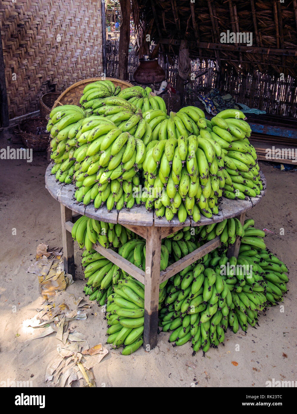 Green bananas on the table and under the table, harvesting bananas ...