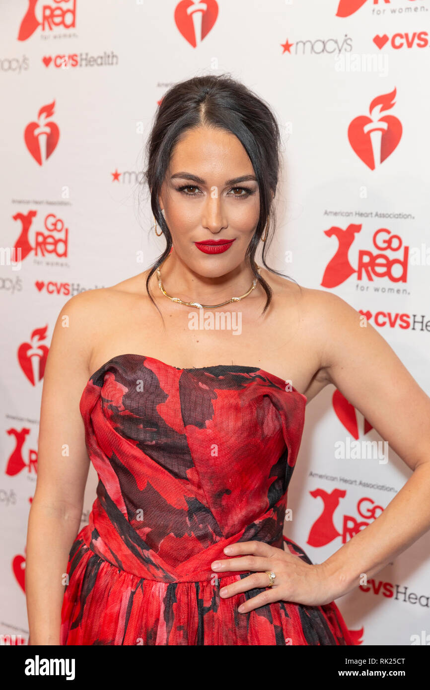 New York, NY - February 7, 2019: Brie Bella wearing dress by Pamela ...
