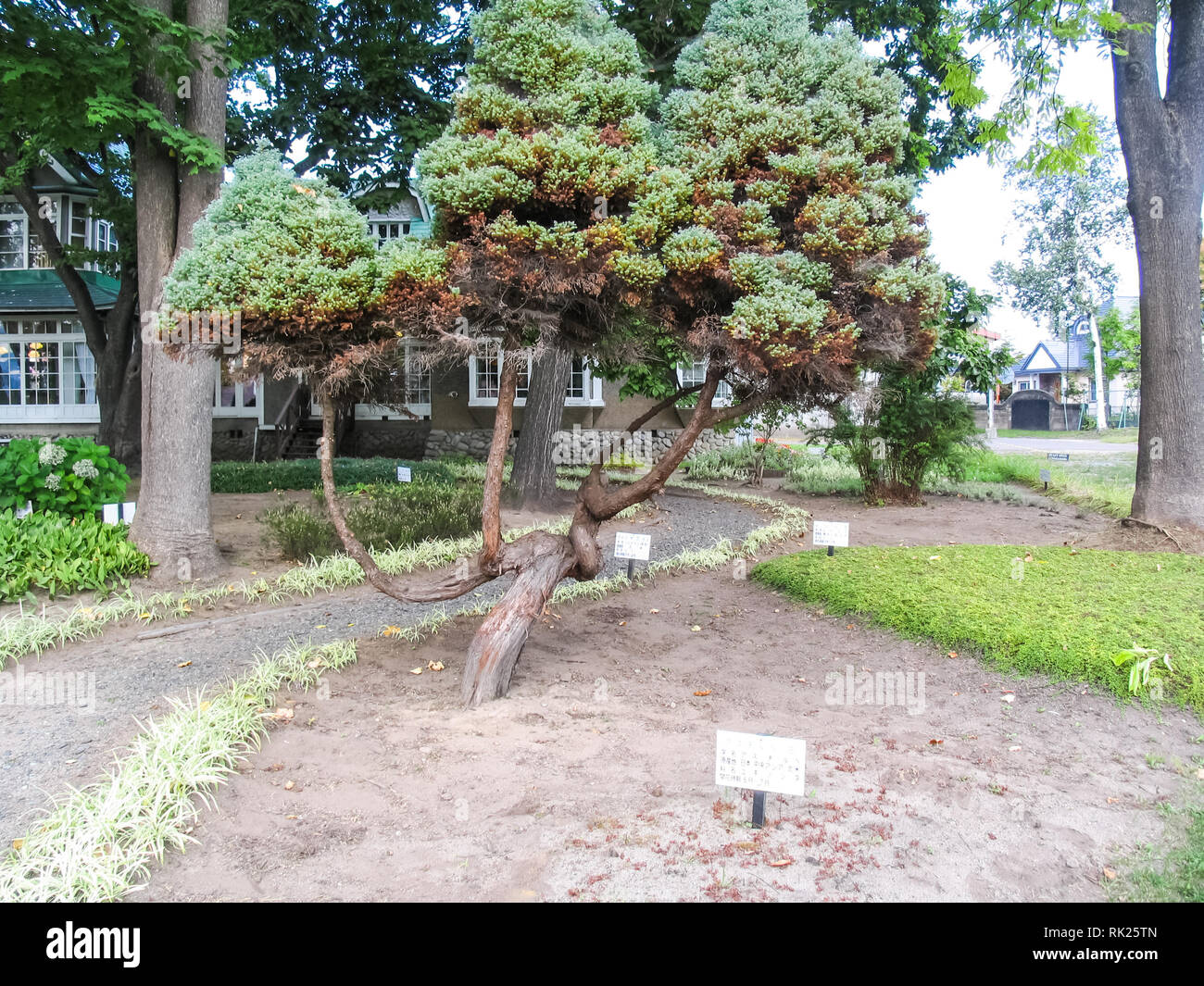Yoichi, Japan - Feb 4, 2015. Nikka whiskey, winery in Japan in yoichi ...