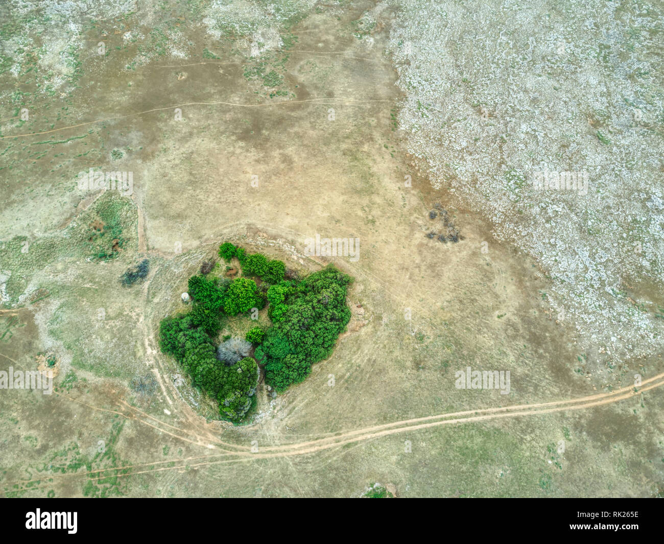 Aerial nadir view of a water hole surrounded by living vegetation but ...