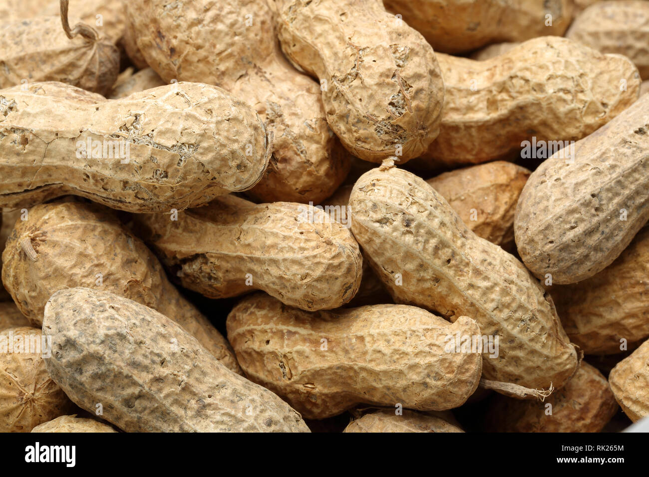 Full frame macro hi-res stock photography and images - Alamy