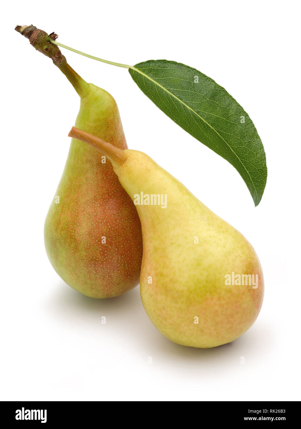 Fresh pear and leaf isolated on white background Stock Photo - Alamy