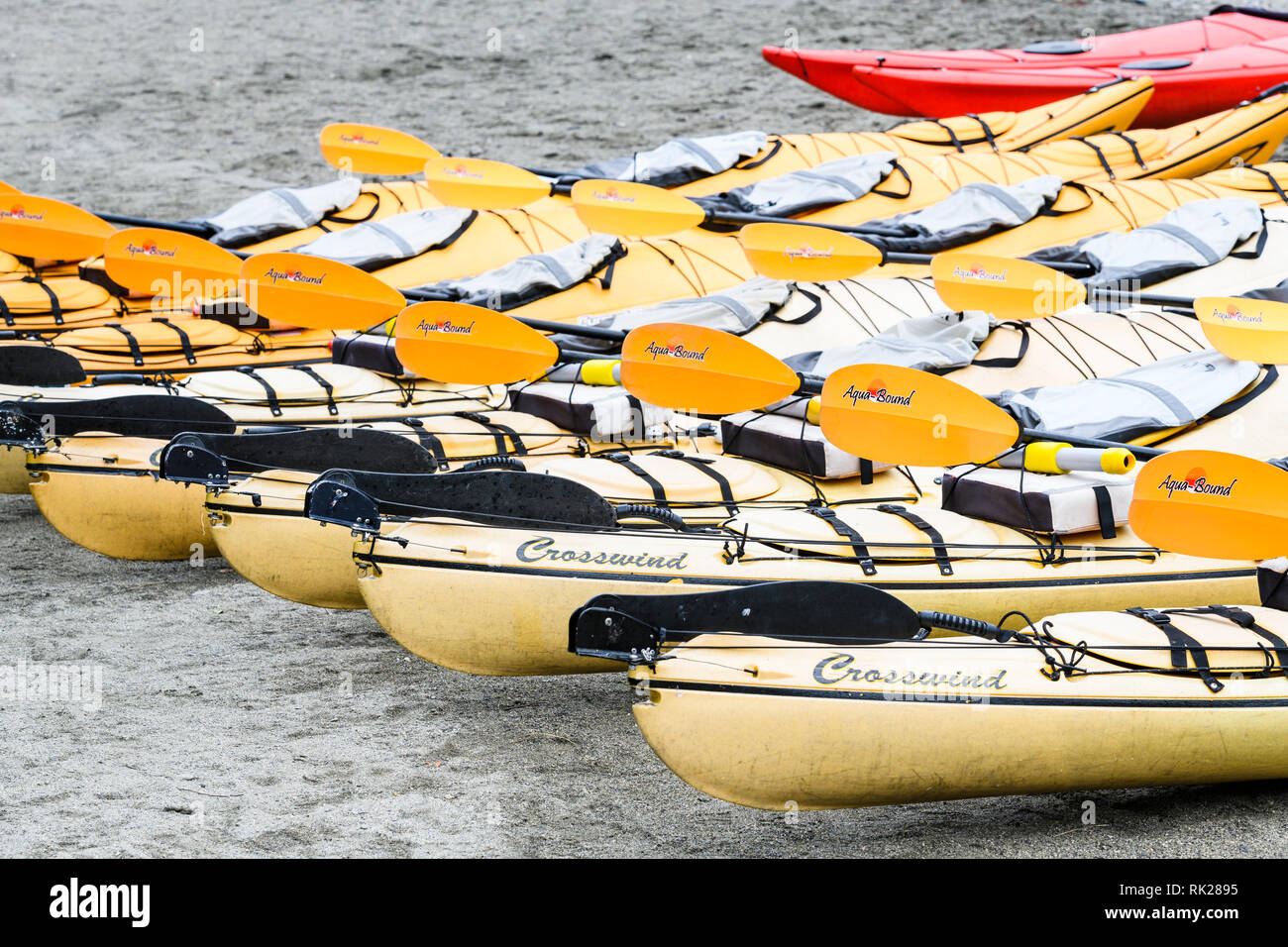 Rows of brightly coloured canoes floating on water Stock Photo - Alamy