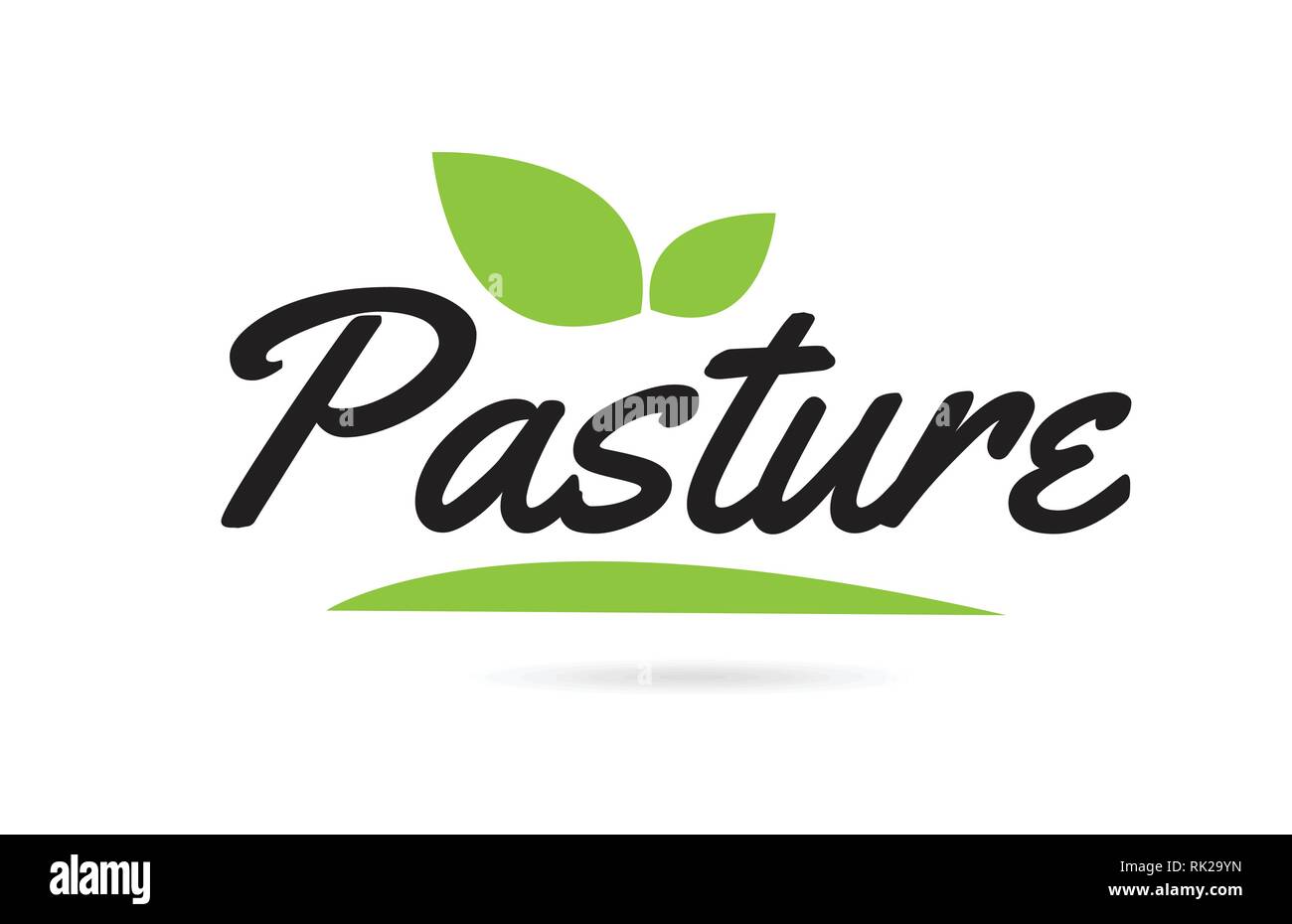 Pasture hand written word text for typography design in black color ...