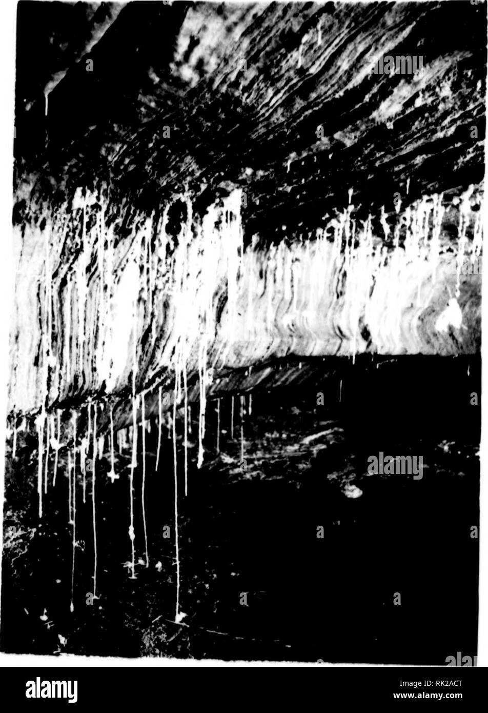 Ata morgana hi-res stock photography and images - Alamy