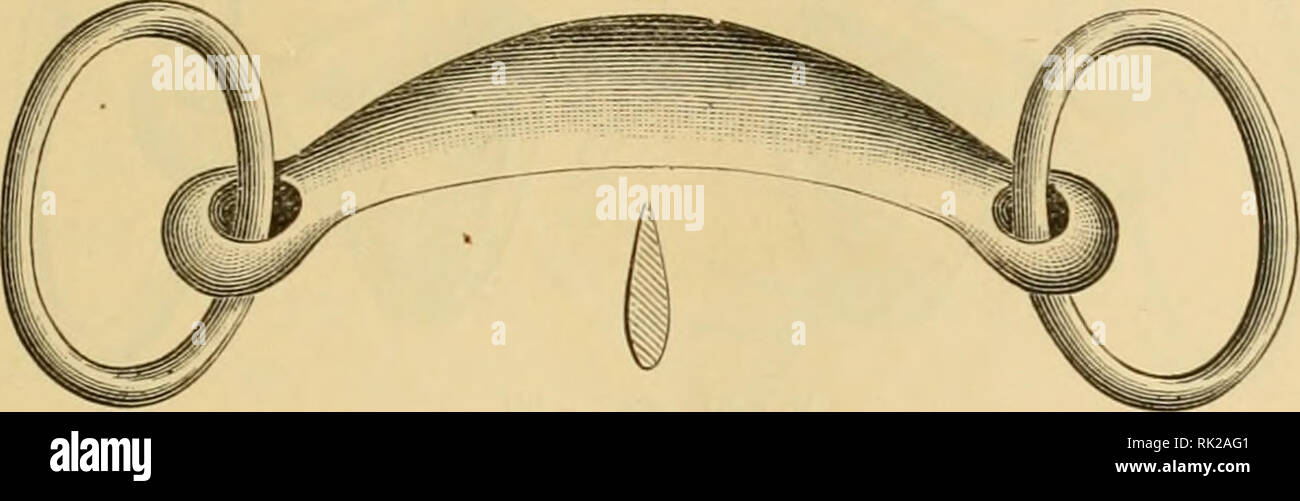 . The art of taming and educating the horse : a system that makes easy ...