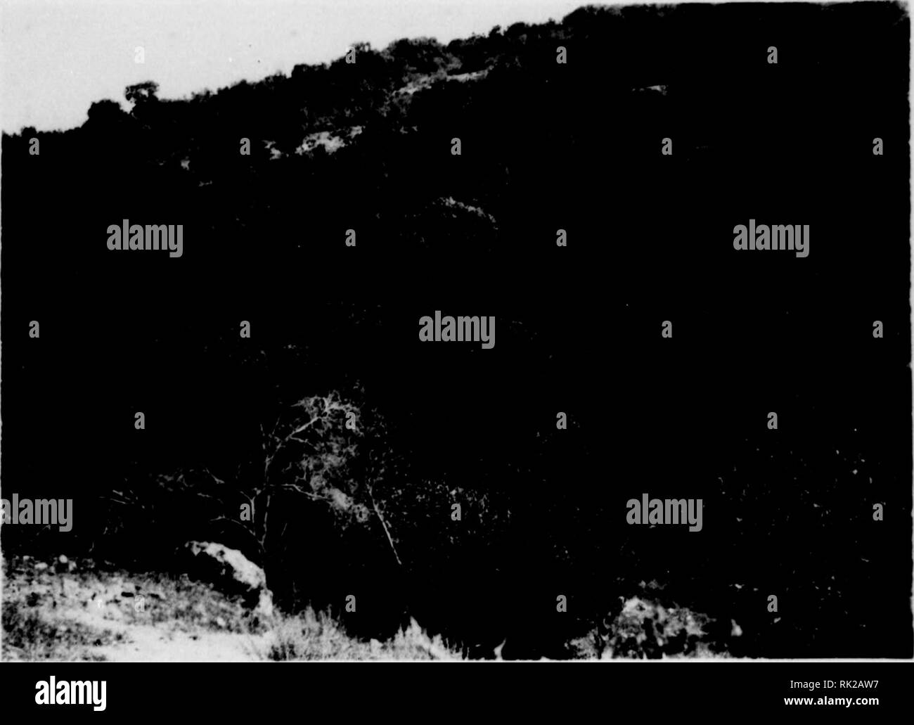 David waldes hi-res stock photography and images - Alamy