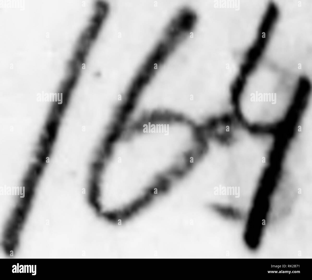 David waldes hi-res stock photography and images - Alamy