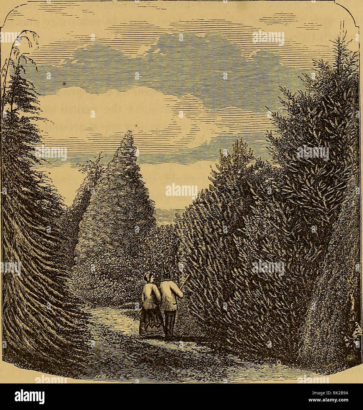 . The art of beautifying suburban home grounds of small extent ...