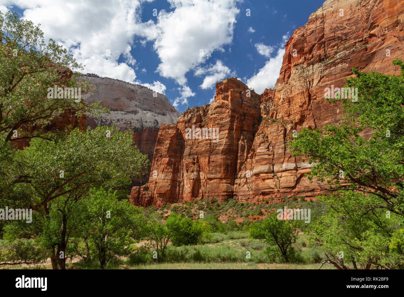Park shuttle bus heading to Big Bend viewpoint passing under Touchstone ...
