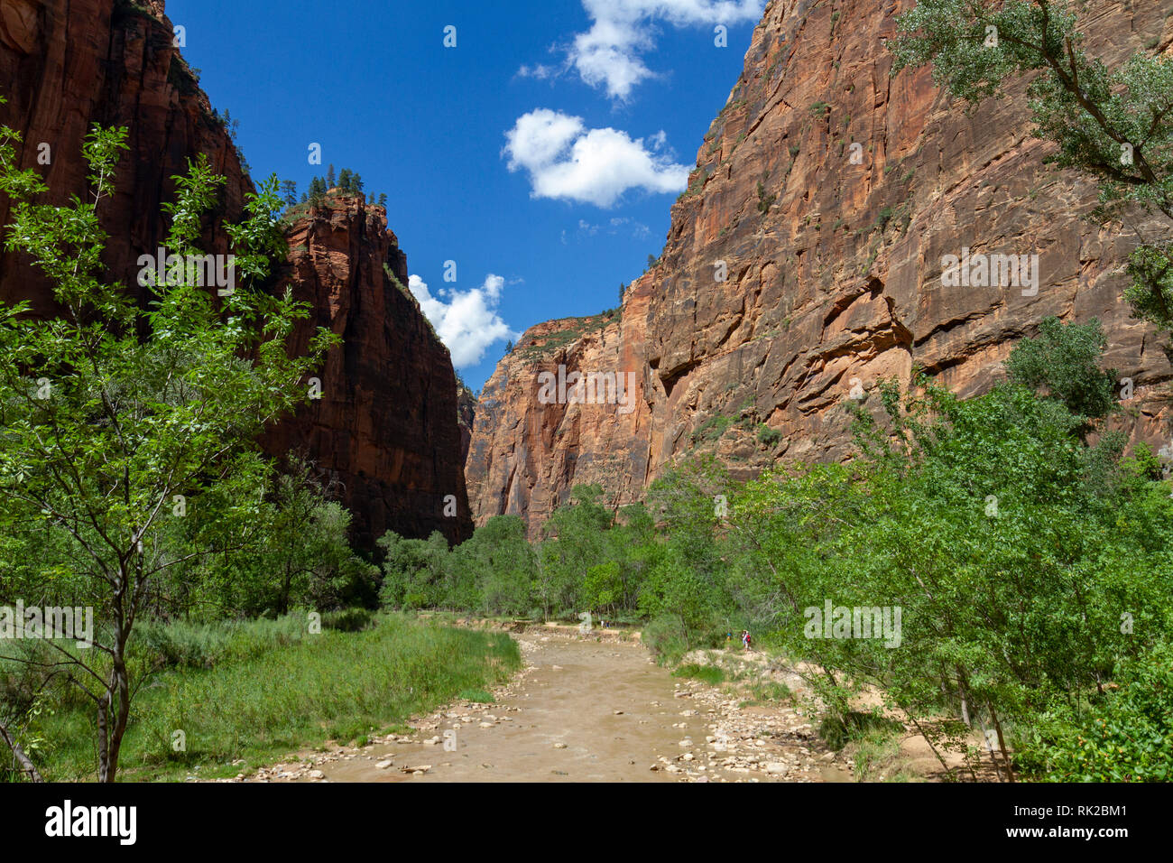 View along the Virgin River beside Riverside Walk, Zion National Park ...