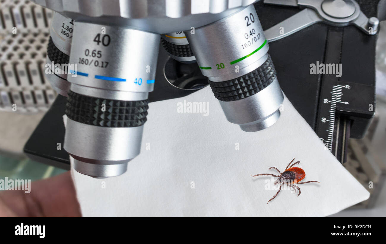 Carrier infections hi-res stock photography and images - Alamy