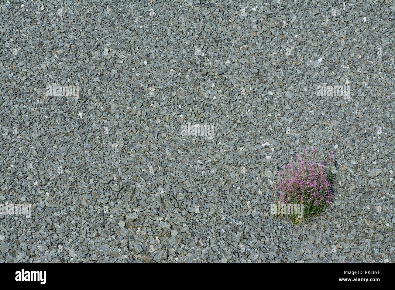Grit stone texture hi-res stock photography and images - Alamy