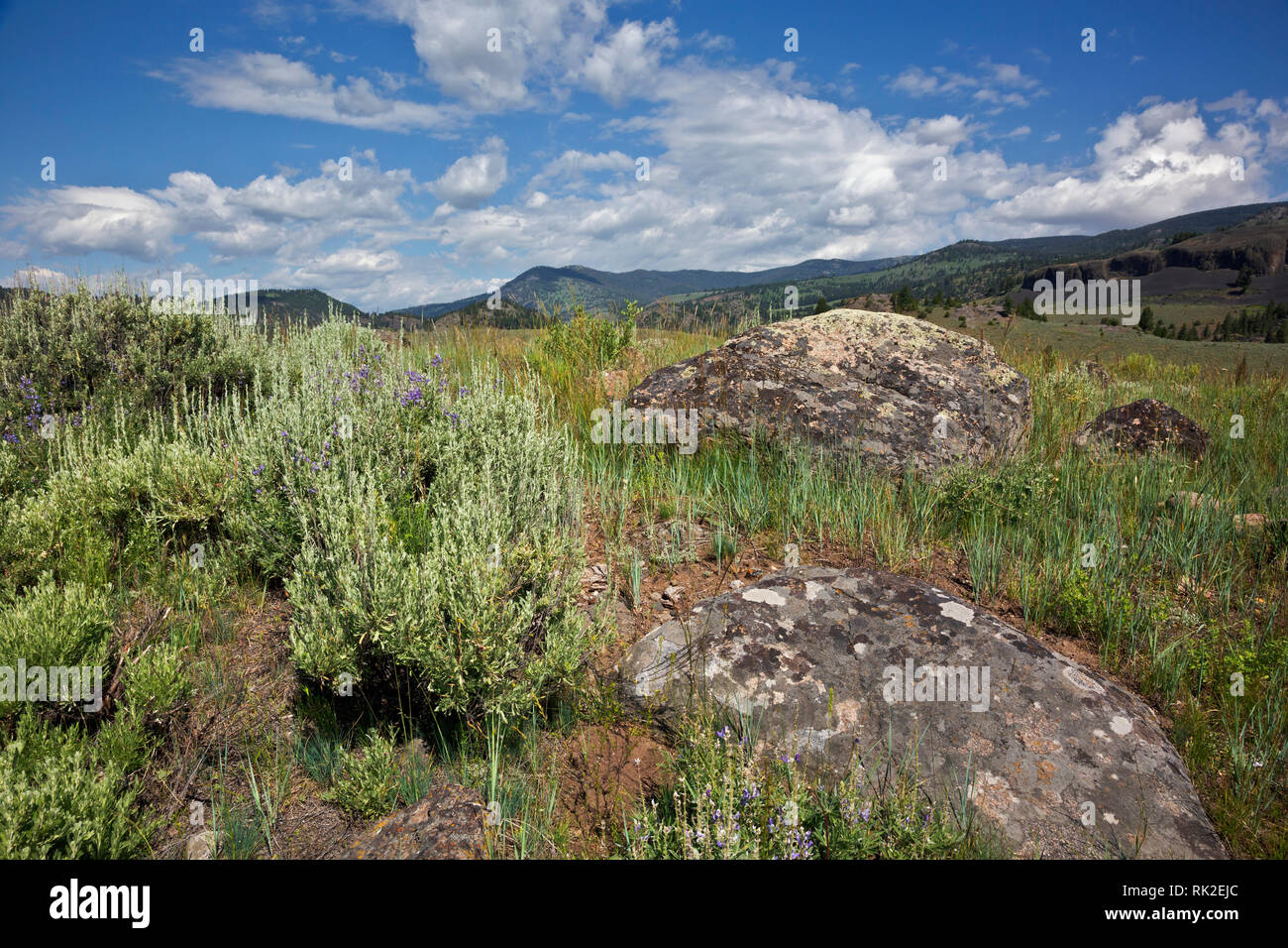 Hellroaring valley hi-res stock photography and images - Alamy