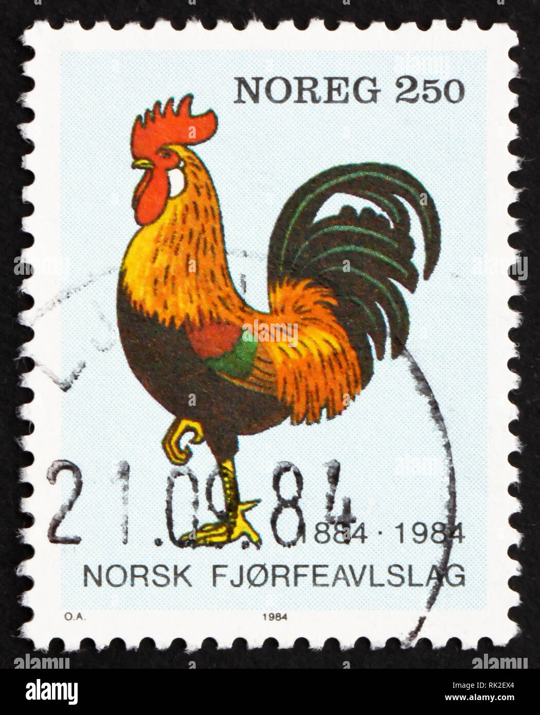 NORWAY - CIRCA 1984: a stamp printed in the Norway shows Rooster ...