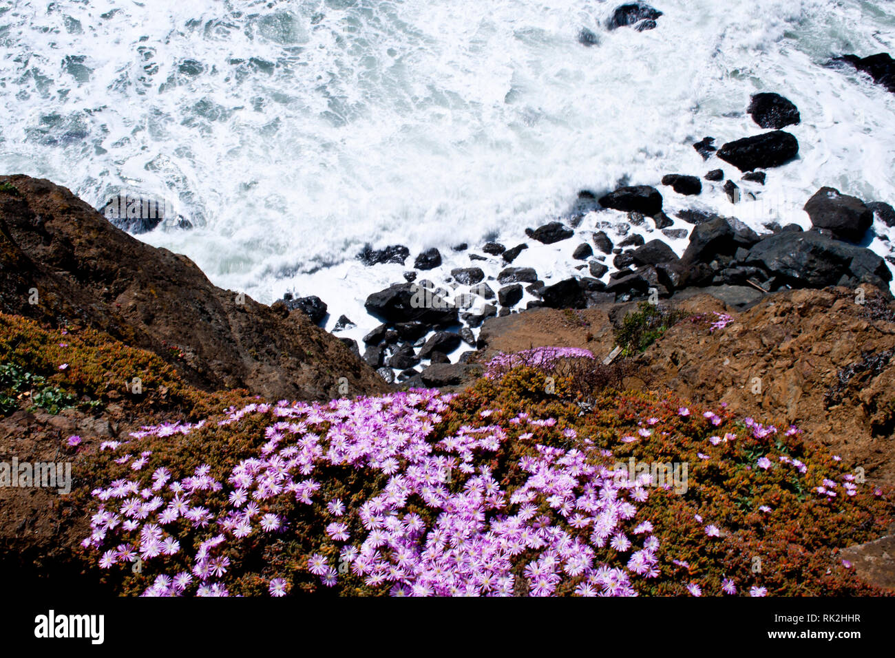 Sea cliff san francisco hi-res stock photography and images - Alamy