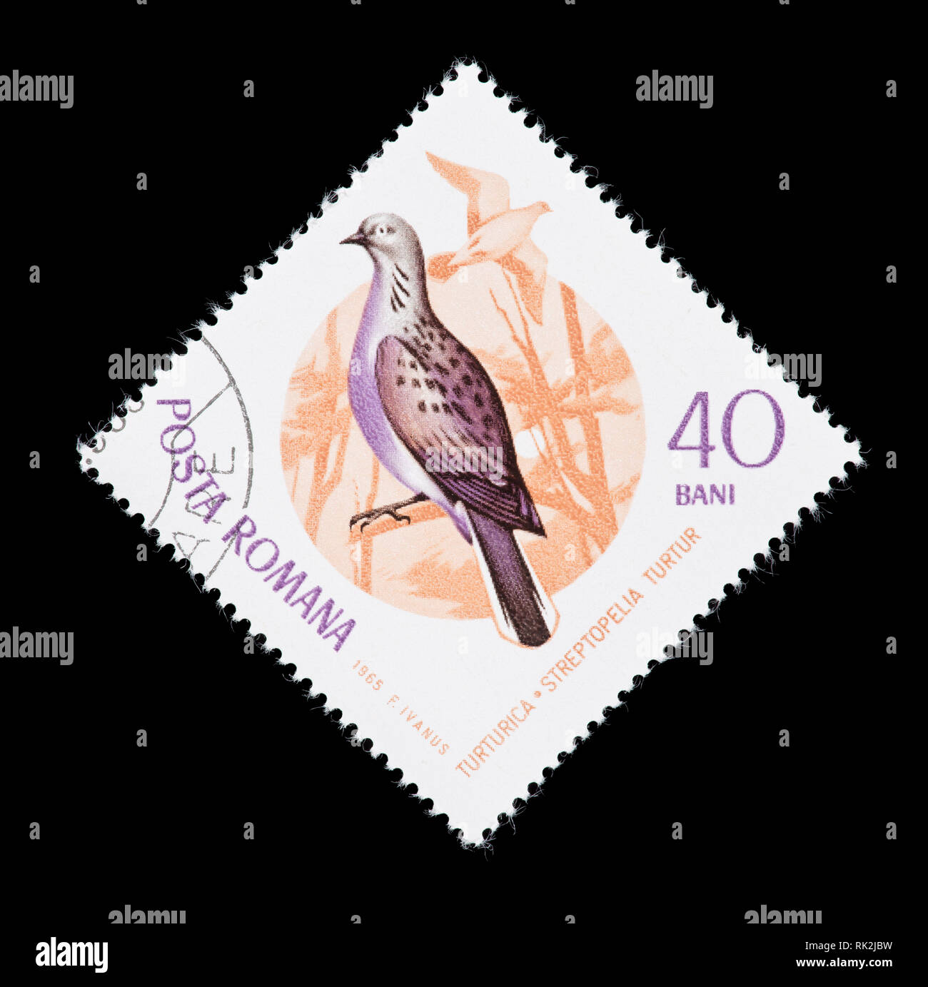 Postage stamp from Romania depicting depicting a turtle dove ...