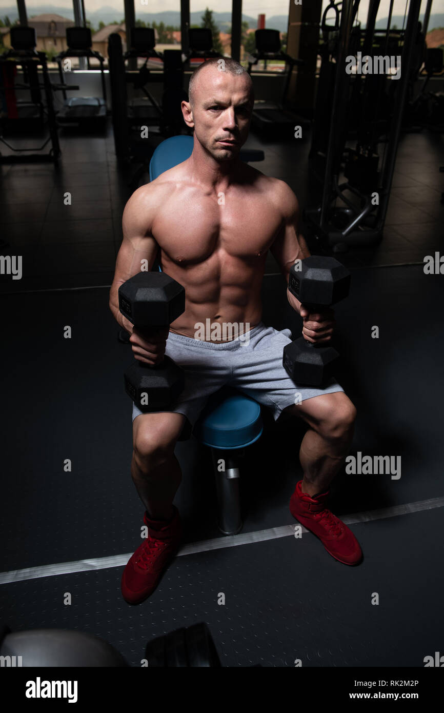 Athlete Working Out Biceps In A Gym - Dumbbell Concentration Curls ...