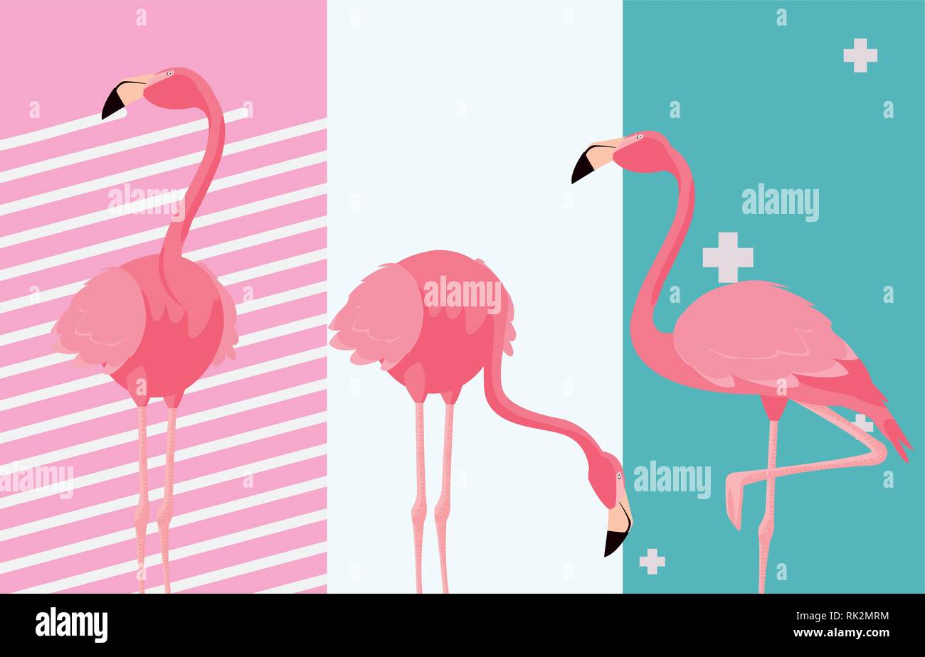 tropical flamingos exotic memphis background design vector illustration ...