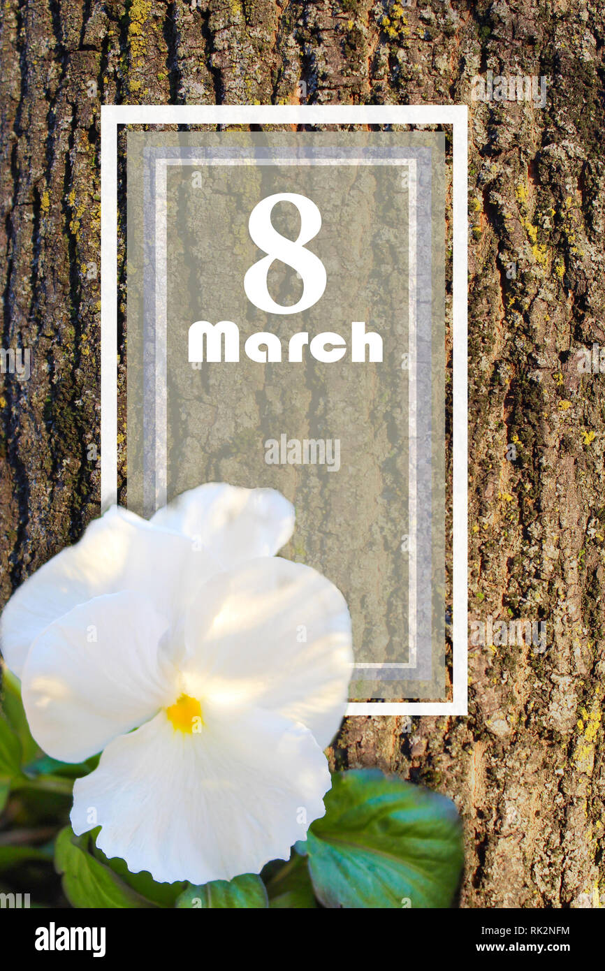 8 march background to the 8th of March (Women's Day Stock Photo - Alamy