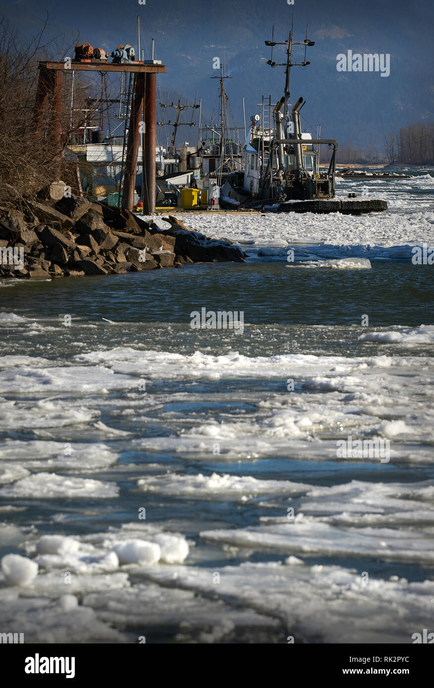 Fraser River Ice, British Columbia. A tugboat moored on the Fraser ...