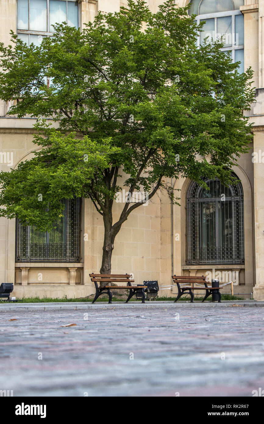 A bench under tree place Stock Photo - Alamy