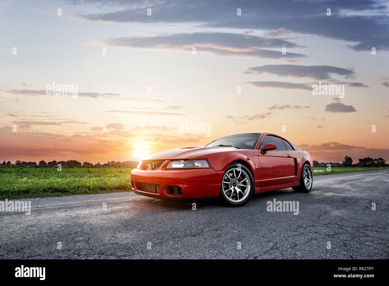 Mustang Cobra Terminator Wallpaper