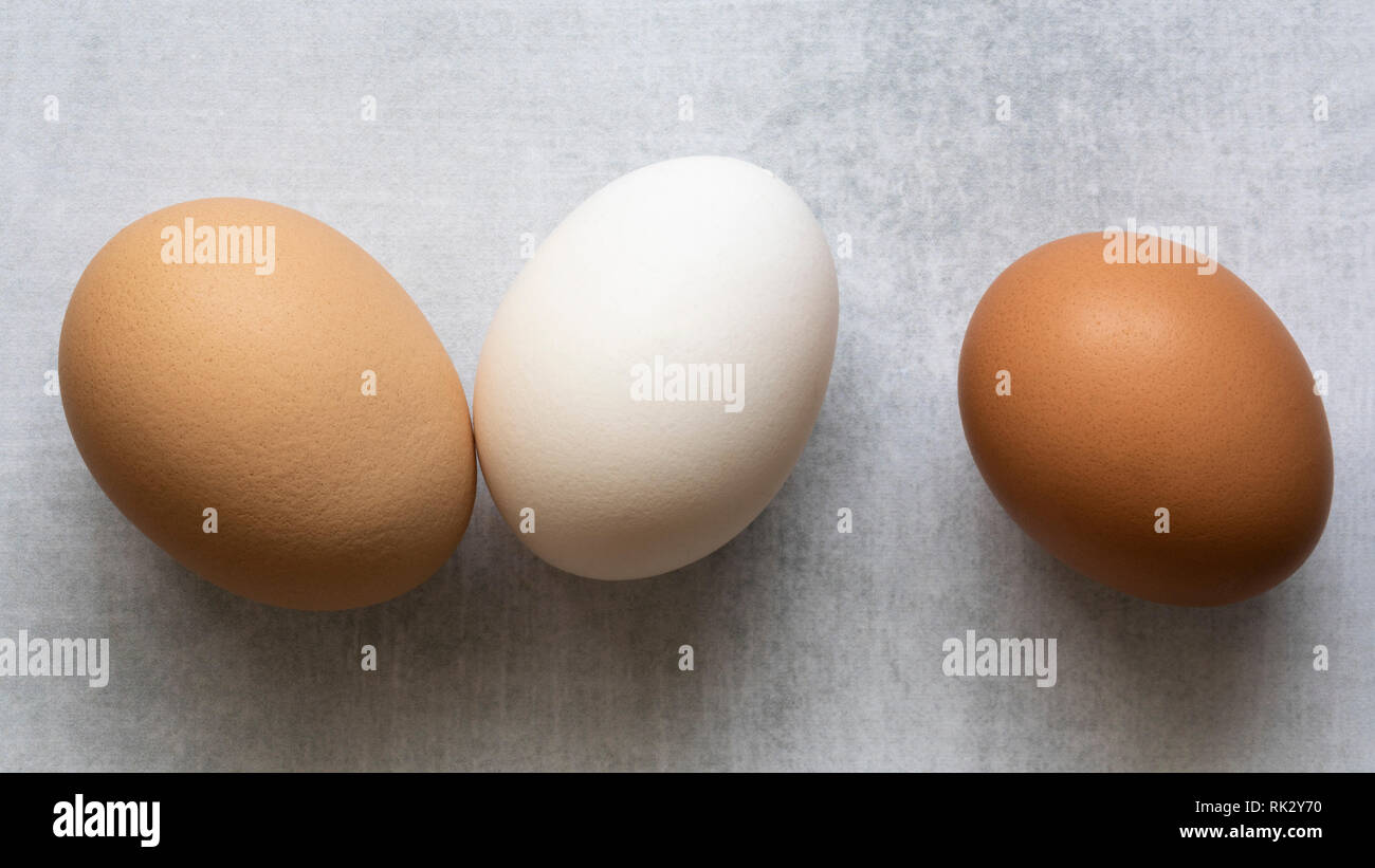 Three eggs in a row Stock Photo - Alamy