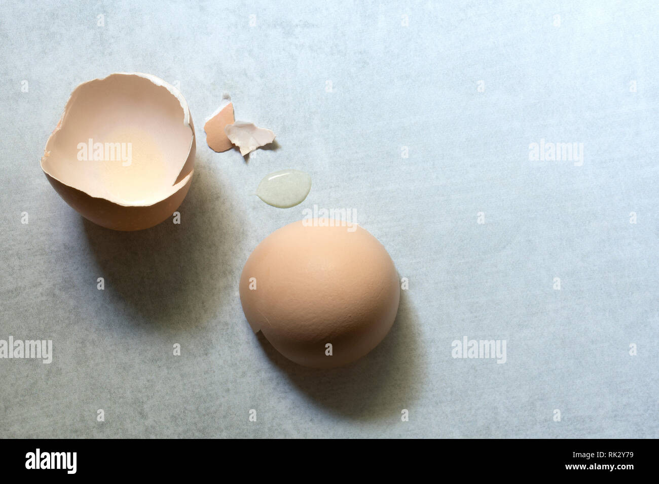 A broken egg shell Stock Photo - Alamy