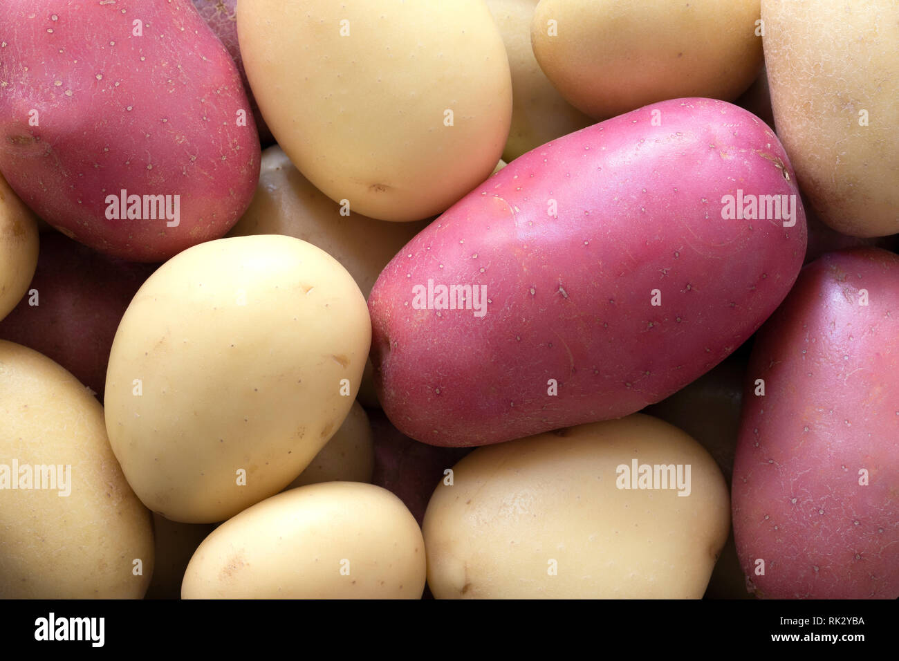 Red royale potatoes hi-res stock photography and images - Alamy