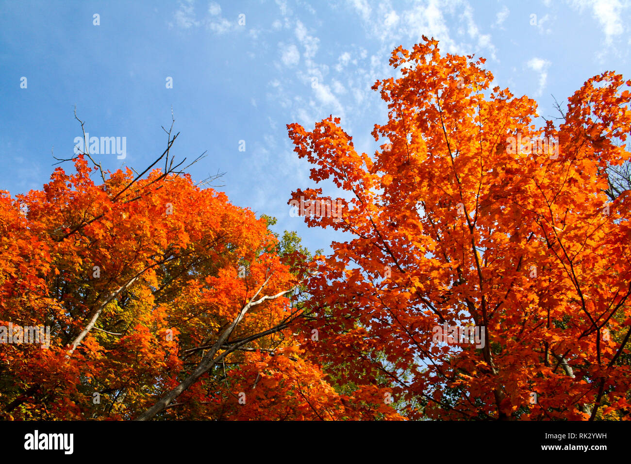 Beautiful fall colours hi-res stock photography and images - Alamy