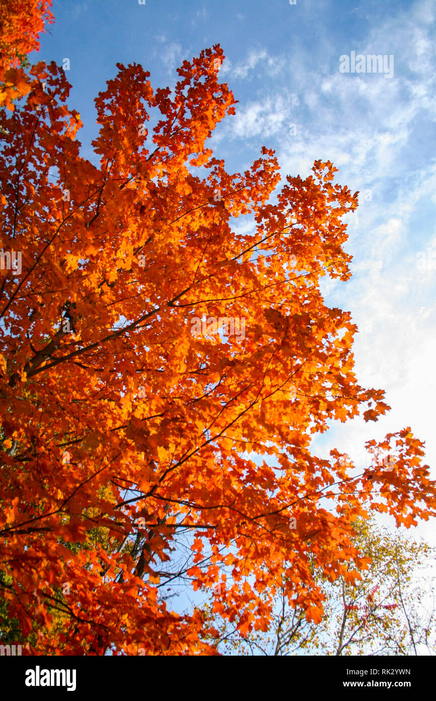 Beautiful fall colours hi-res stock photography and images - Alamy