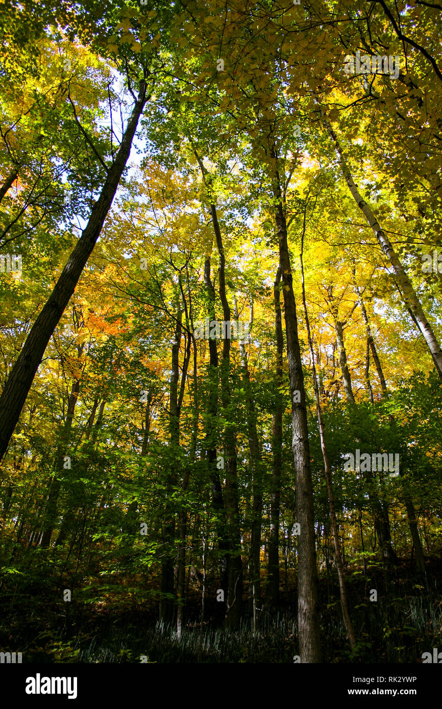 Peaceful beginning of day hi-res stock photography and images - Alamy