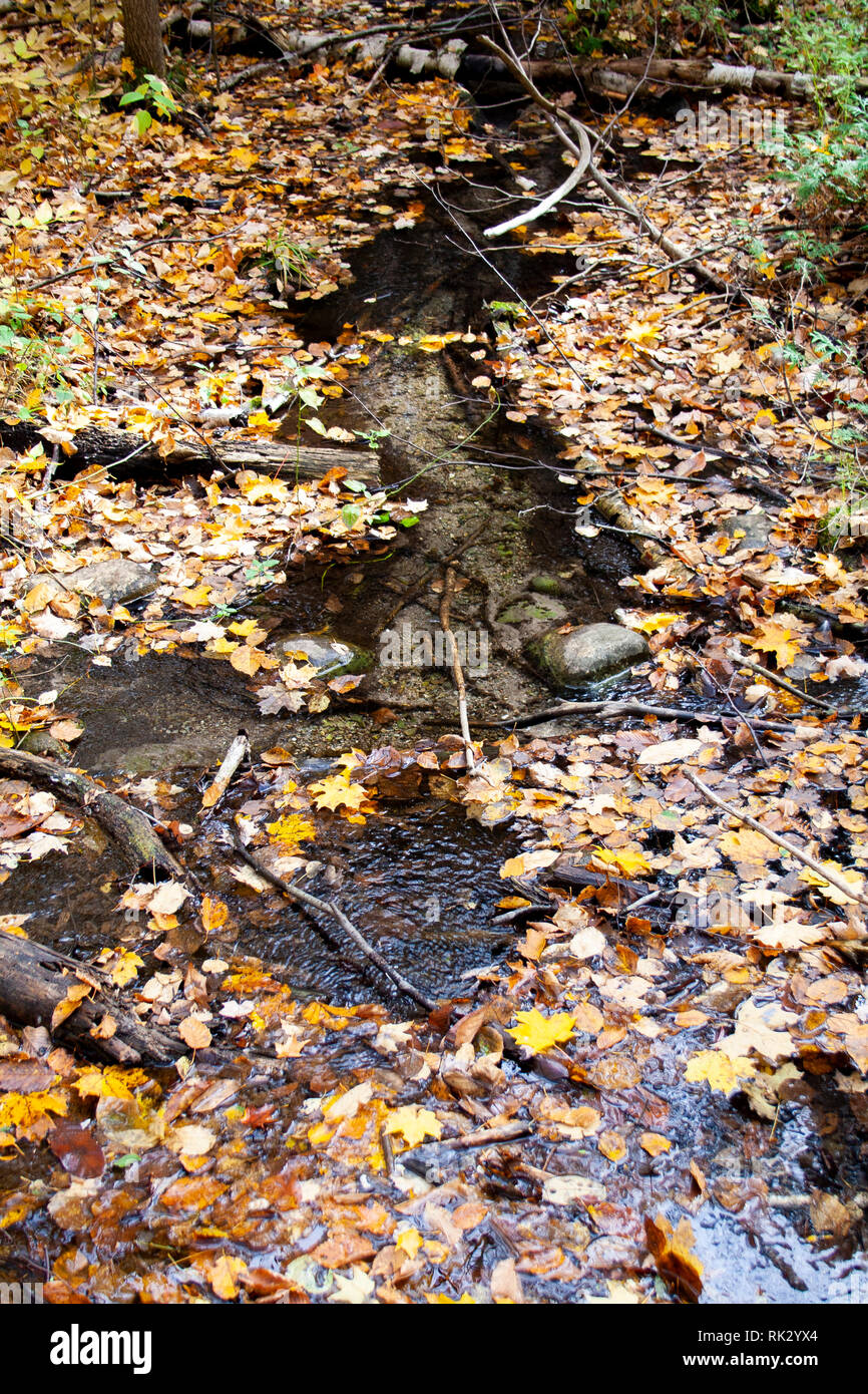 Stream and fall colors hi-res stock photography and images - Alamy