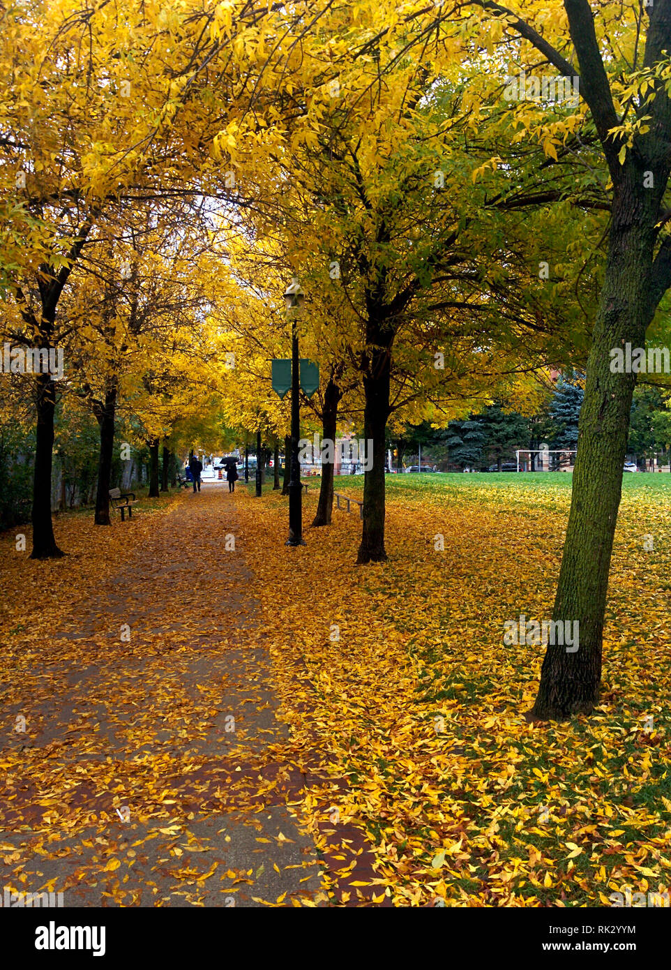 City of toronto parks hi-res stock photography and images - Alamy
