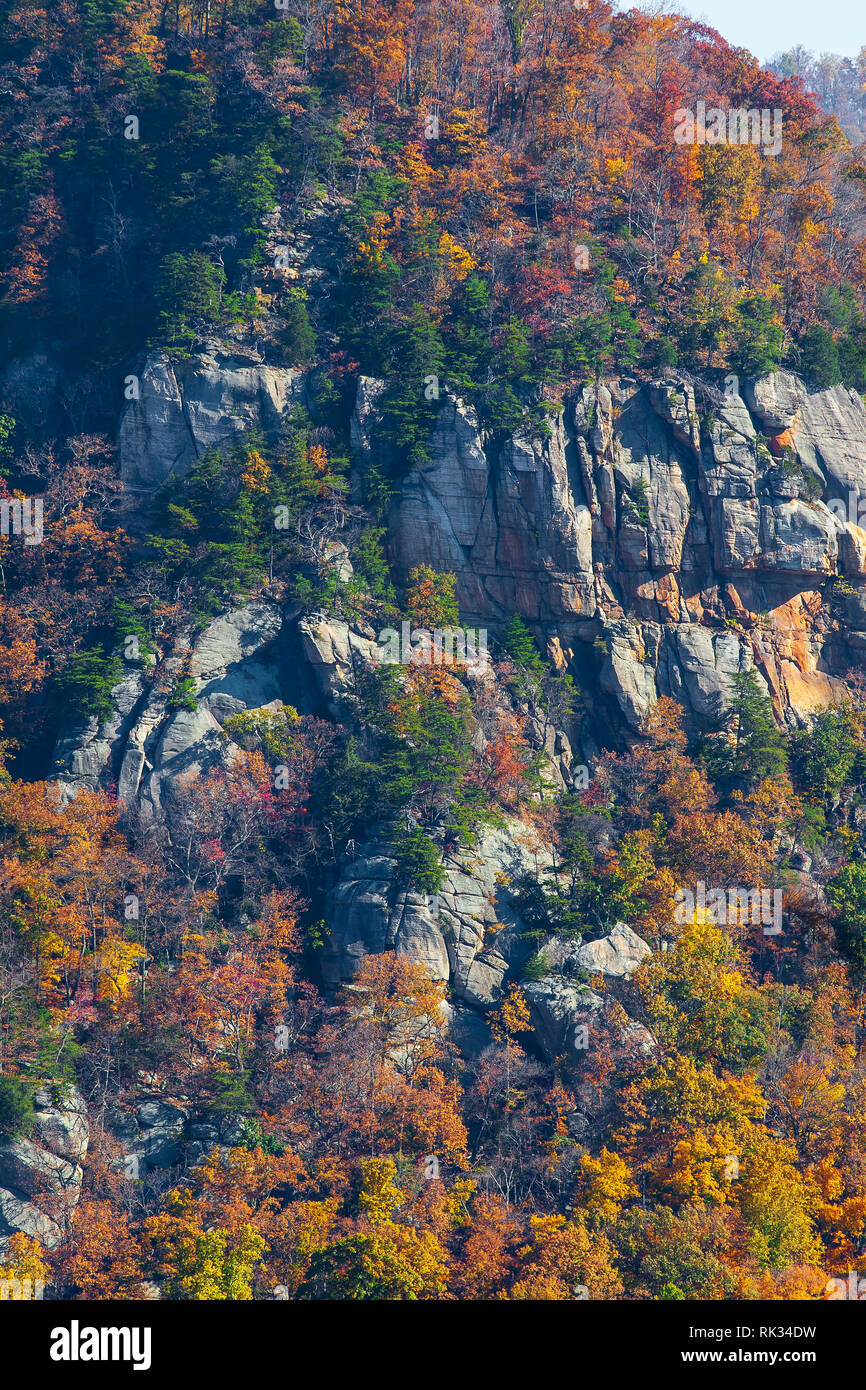 Fall foliage and rocky cliffside in the Blue Ridge Mountains of North ...