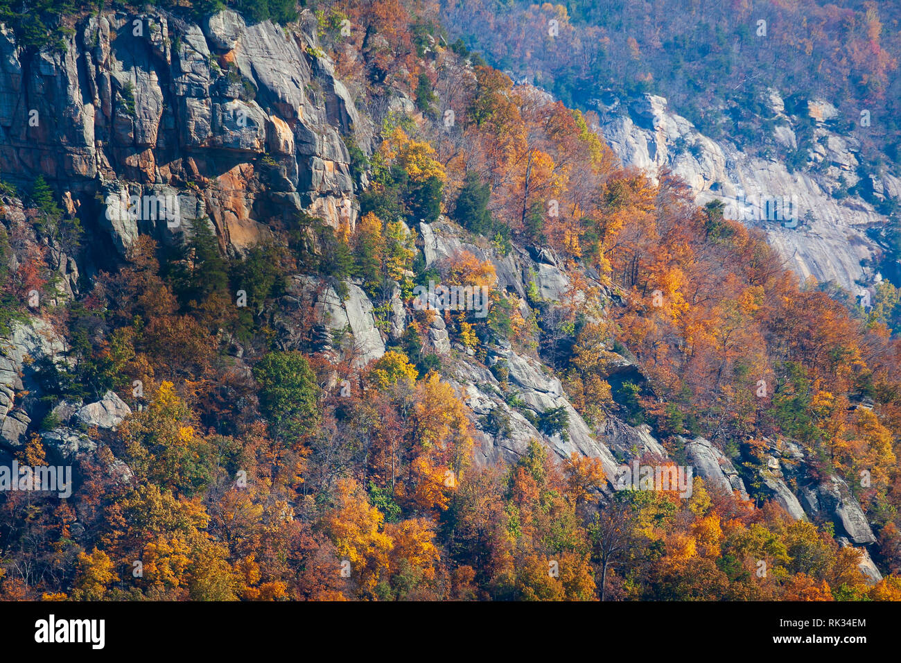 Fall foliage and rocky cliffside in the Blue Ridge Mountains of North ...