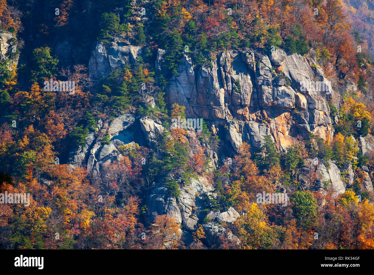 Fall foliage and rocky cliffside in the Blue Ridge Mountains of North ...