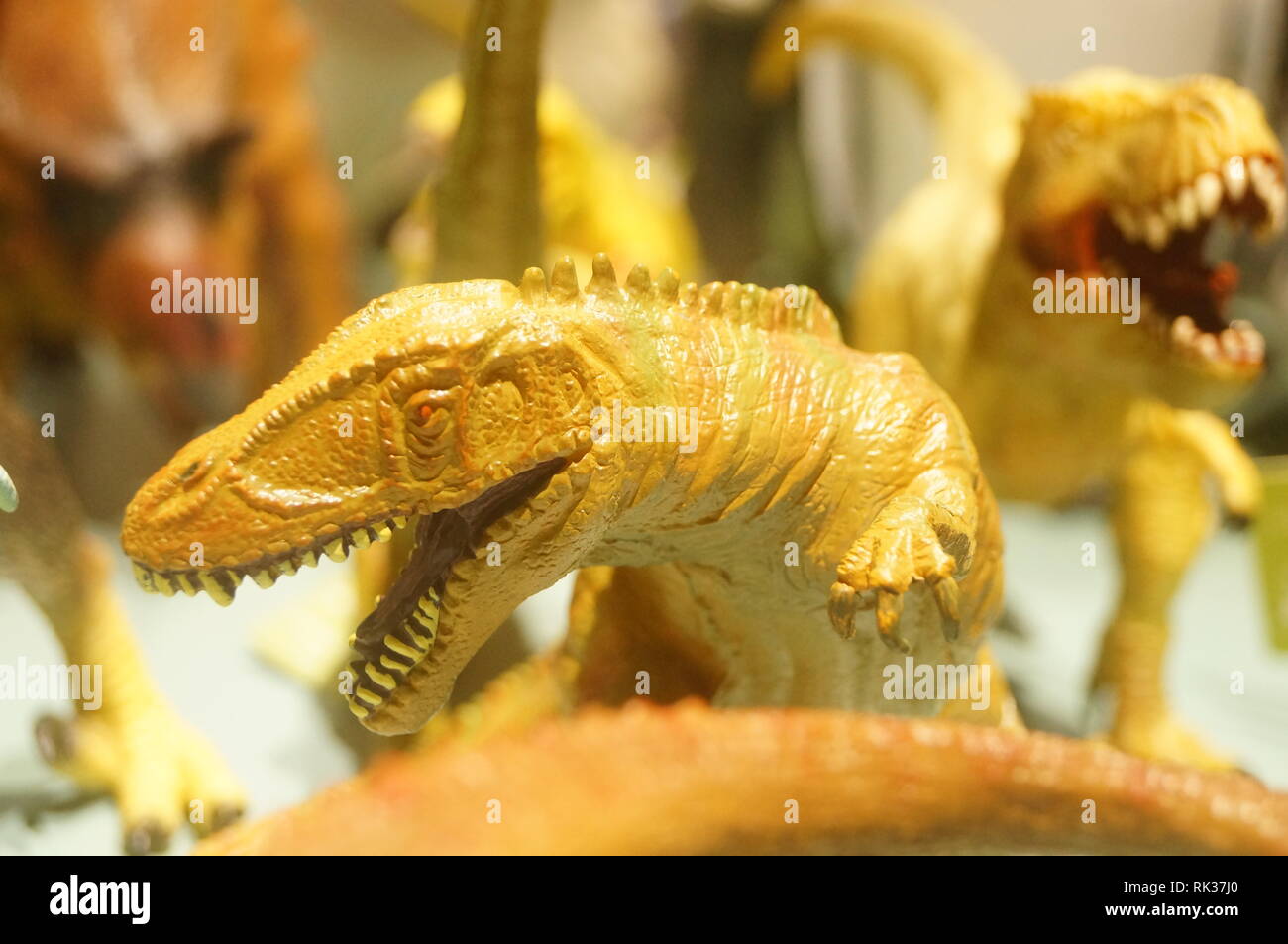 Shenzhen, China: cute toys are displayed in toy stores during the ...