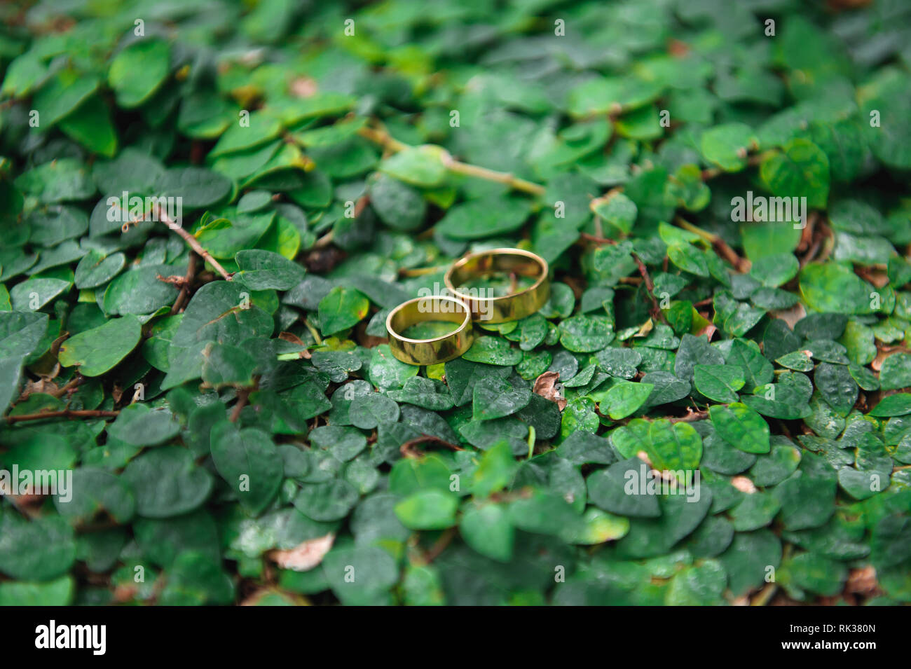 Wedding rings black white image hi-res stock photography and images - Alamy