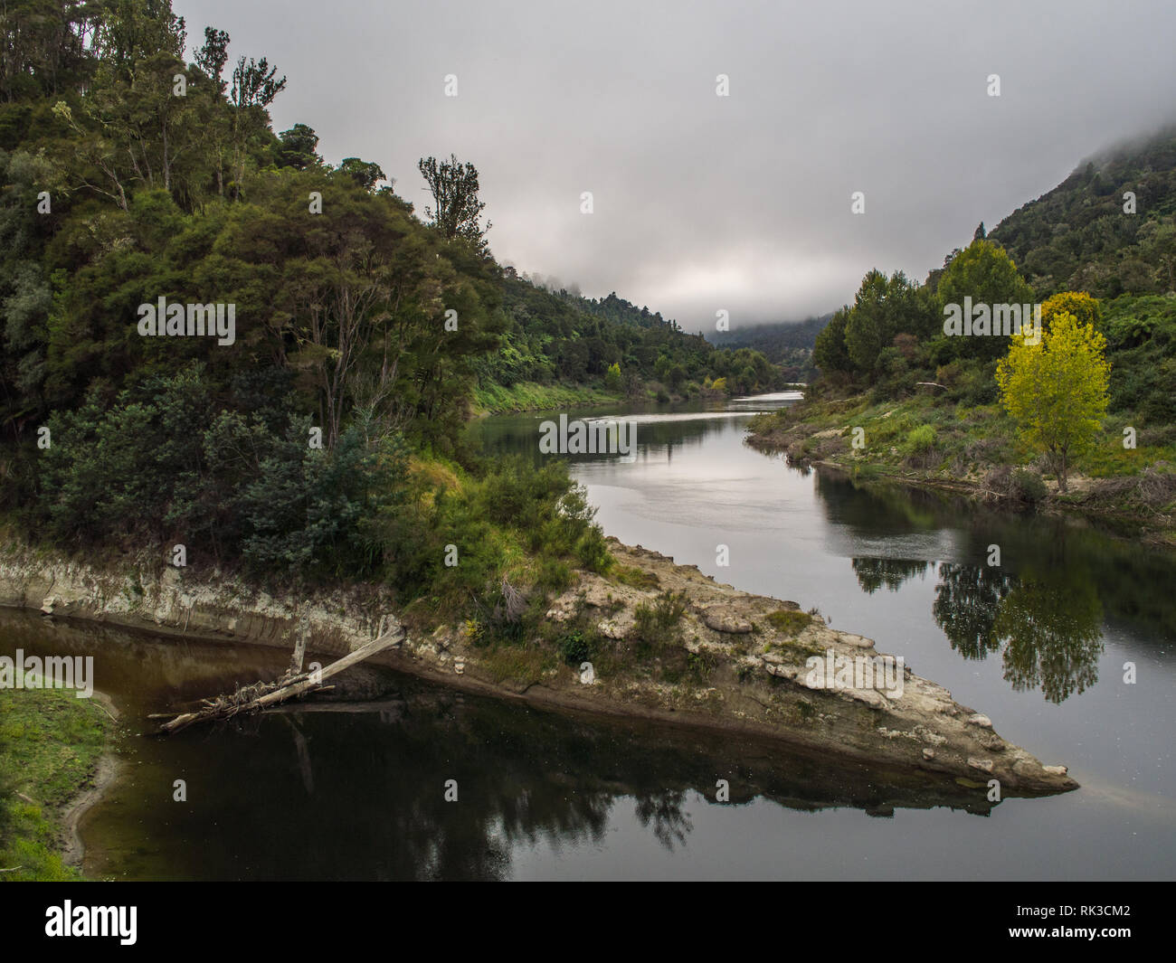 Confluence of Ahuahu Stream with Whanganui River, native forest bush ...