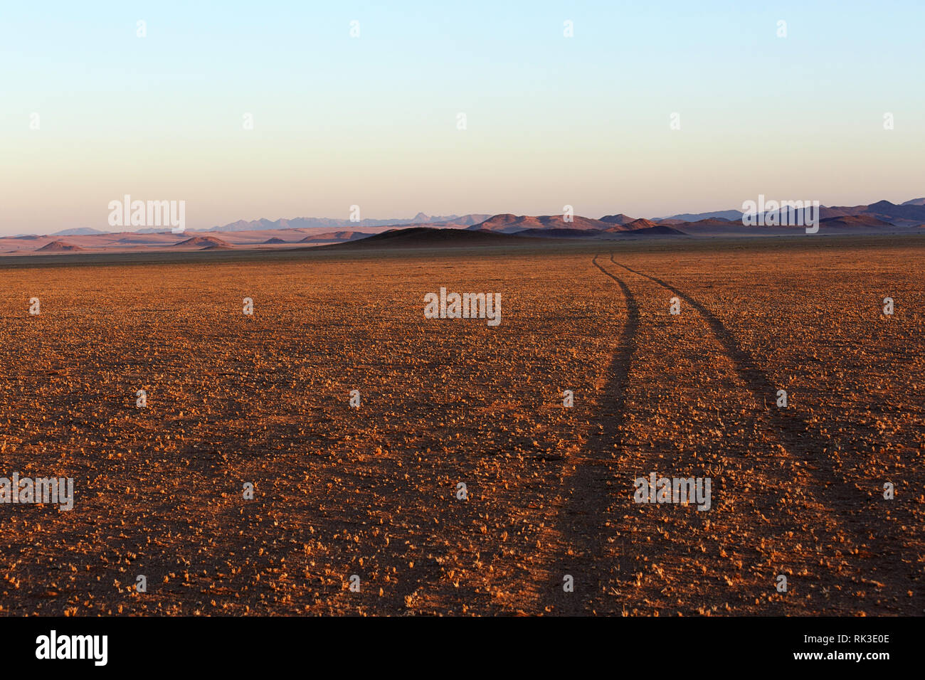 Sunset on the red Namib Desert with a sand path and bushes in southern ...