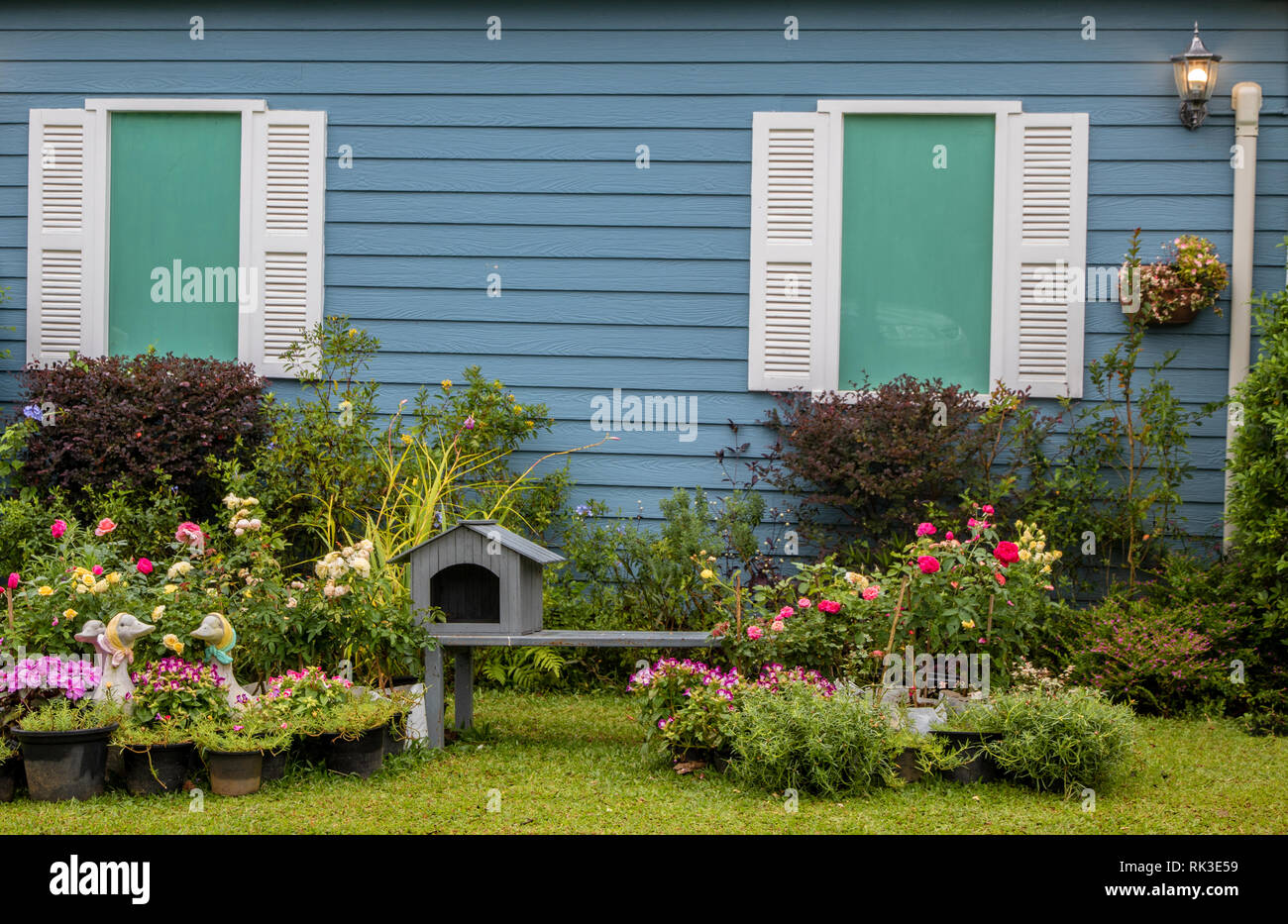 Beautiful garden and home color pastel background Stock Photo - Alamy