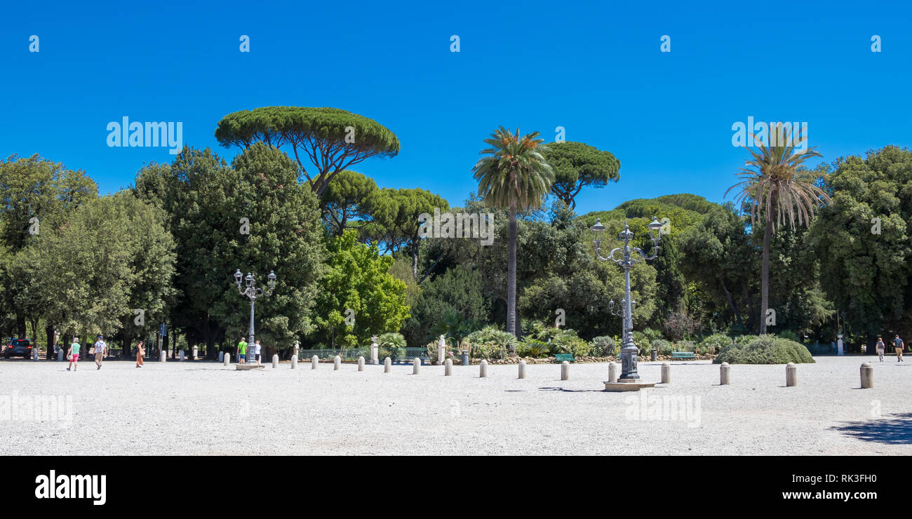 Rome, Italy - July 3, 2017: Tropical trees on the Piazzale Napoleone ...