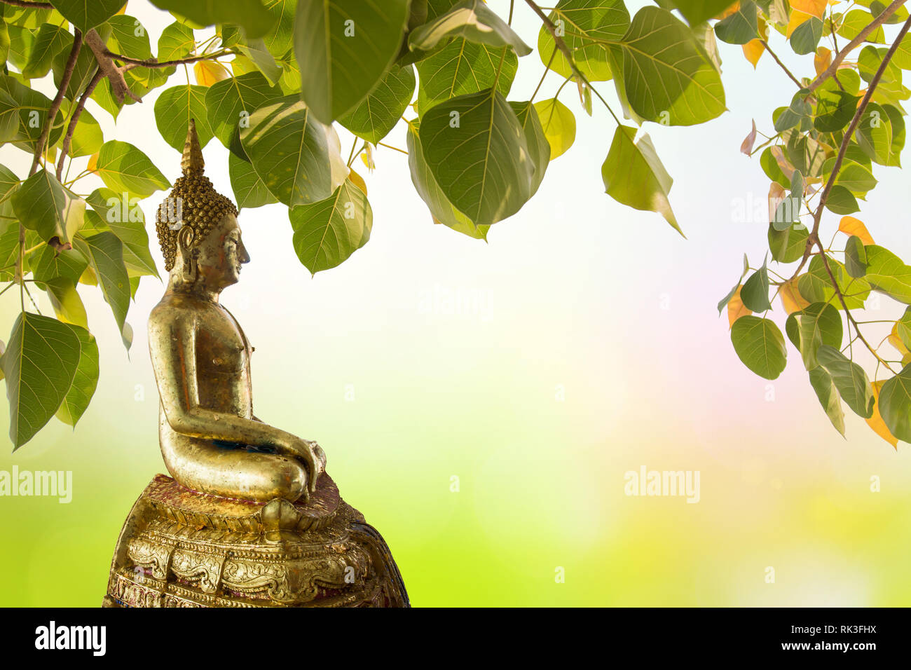 Rays of buddha hi-res stock photography and images - Alamy
