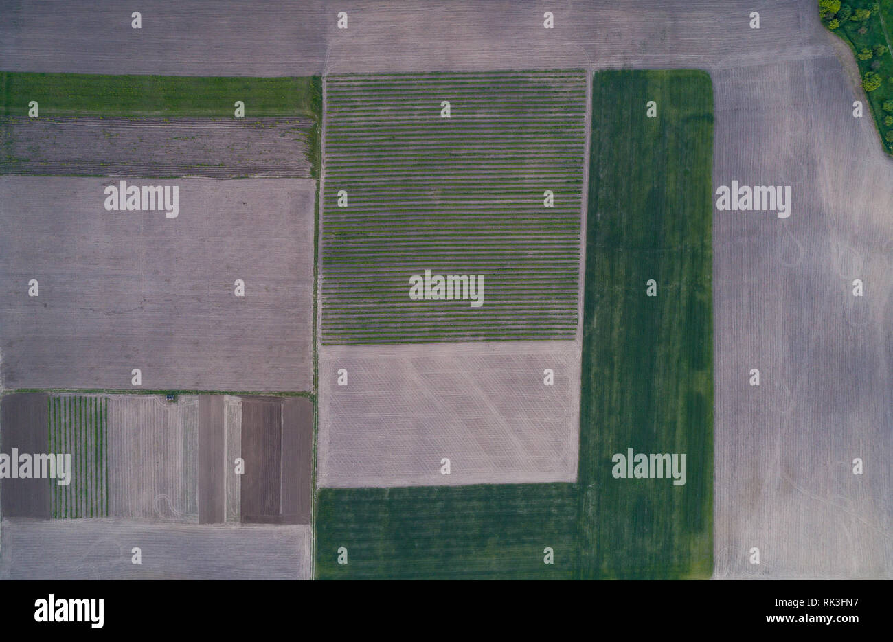 Aerial view of a field cut into different parts. Natural ornament Stock ...