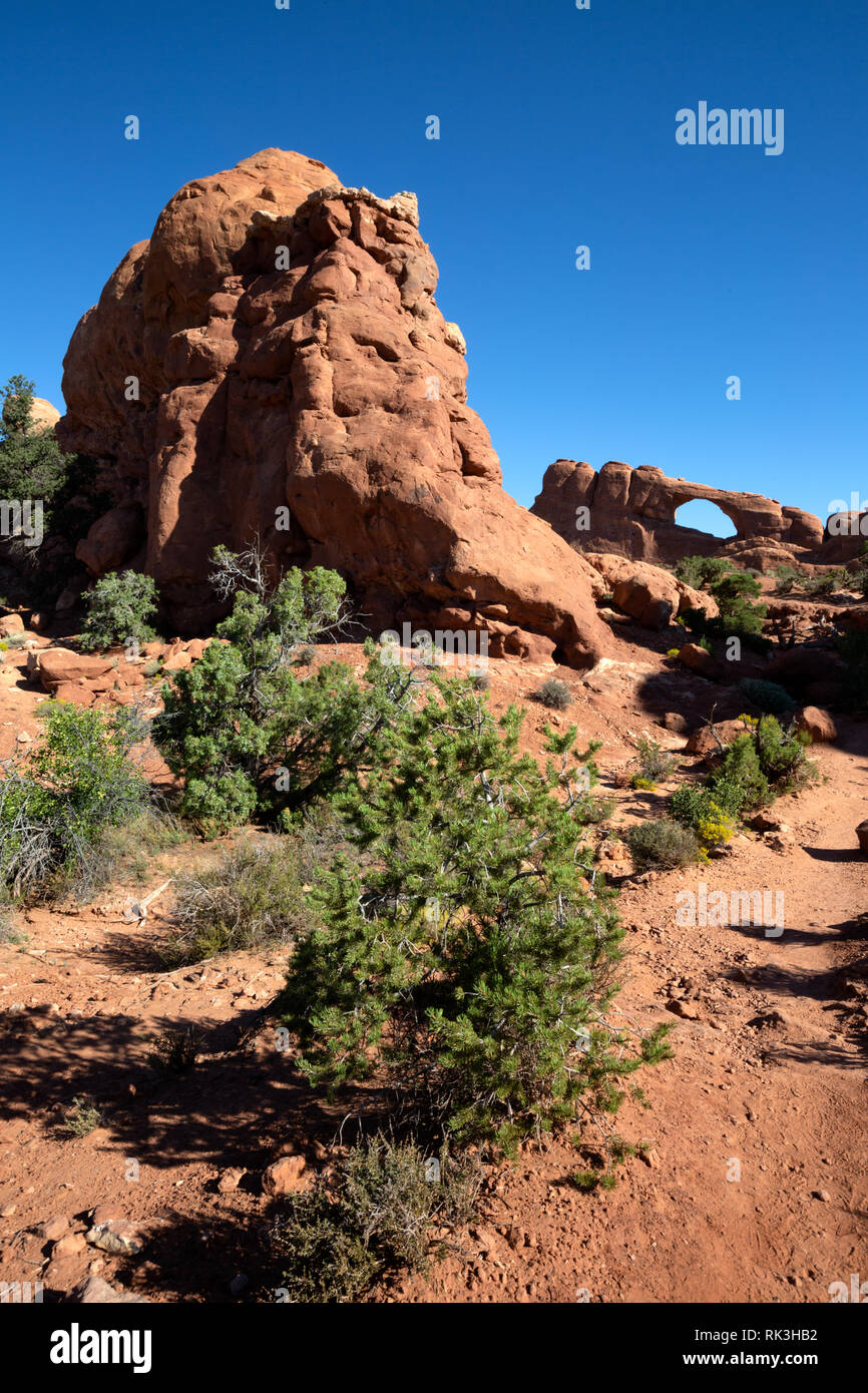View of Skyline Arch from the trail in Arches National Park with a ...