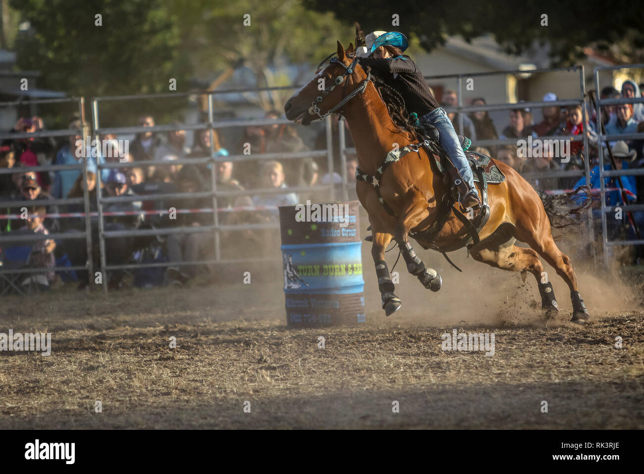 Professional bronc rider hi-res stock photography and images - Alamy