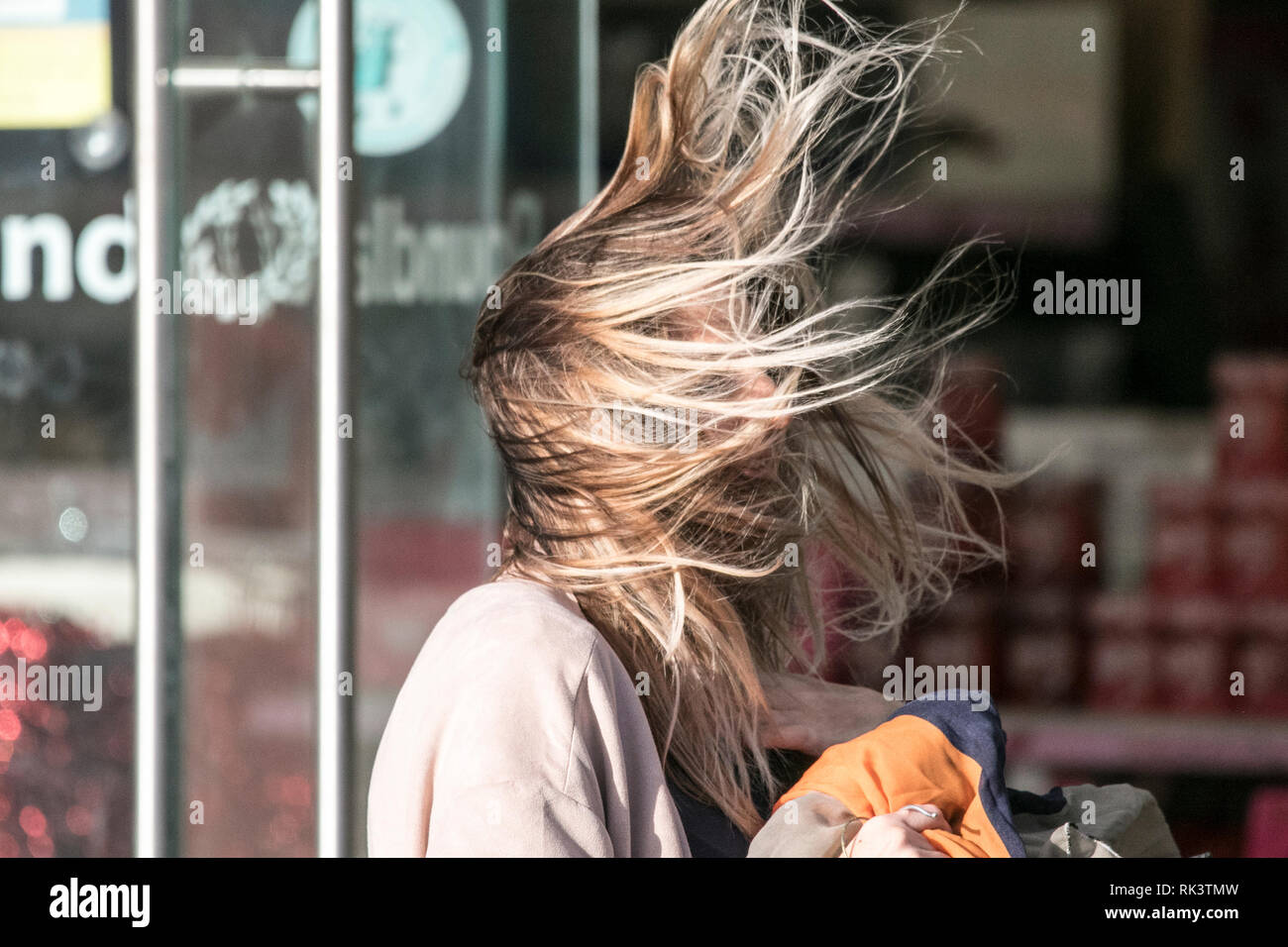 wind,hair,windswept,bad hair day,wind blown hair,long hair,female,face ...